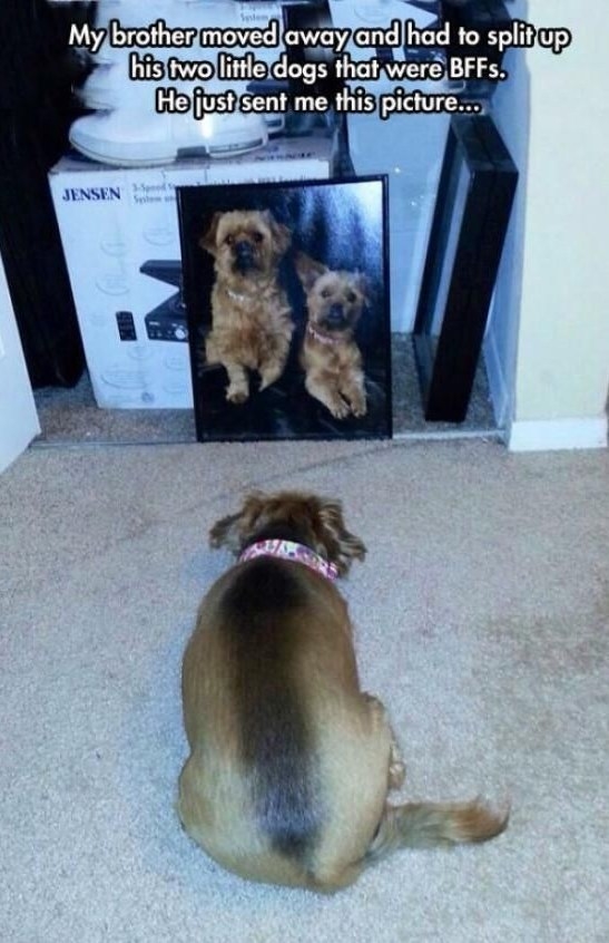 Sometimes I think my thoughts are not joined up. – HumorOutcasts.com