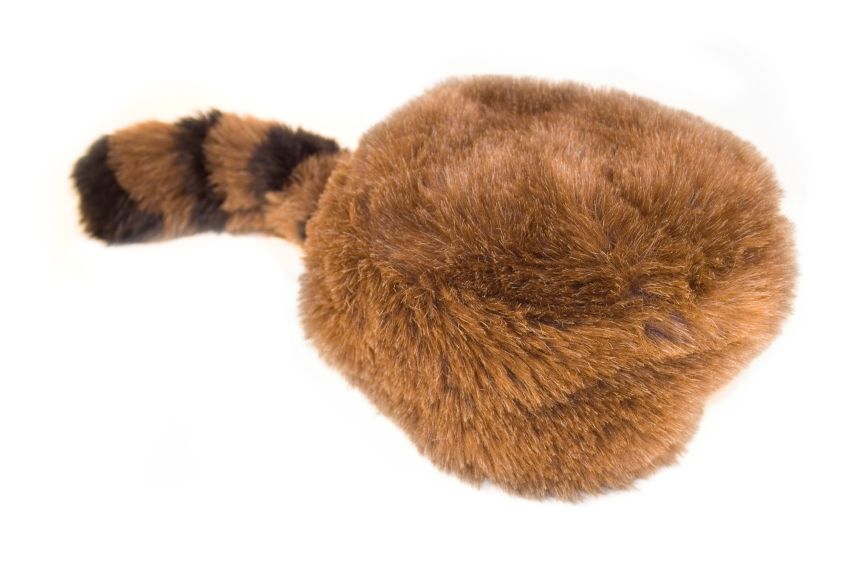 Davy Crockett Coonskin Cap – HumorOutcasts.com